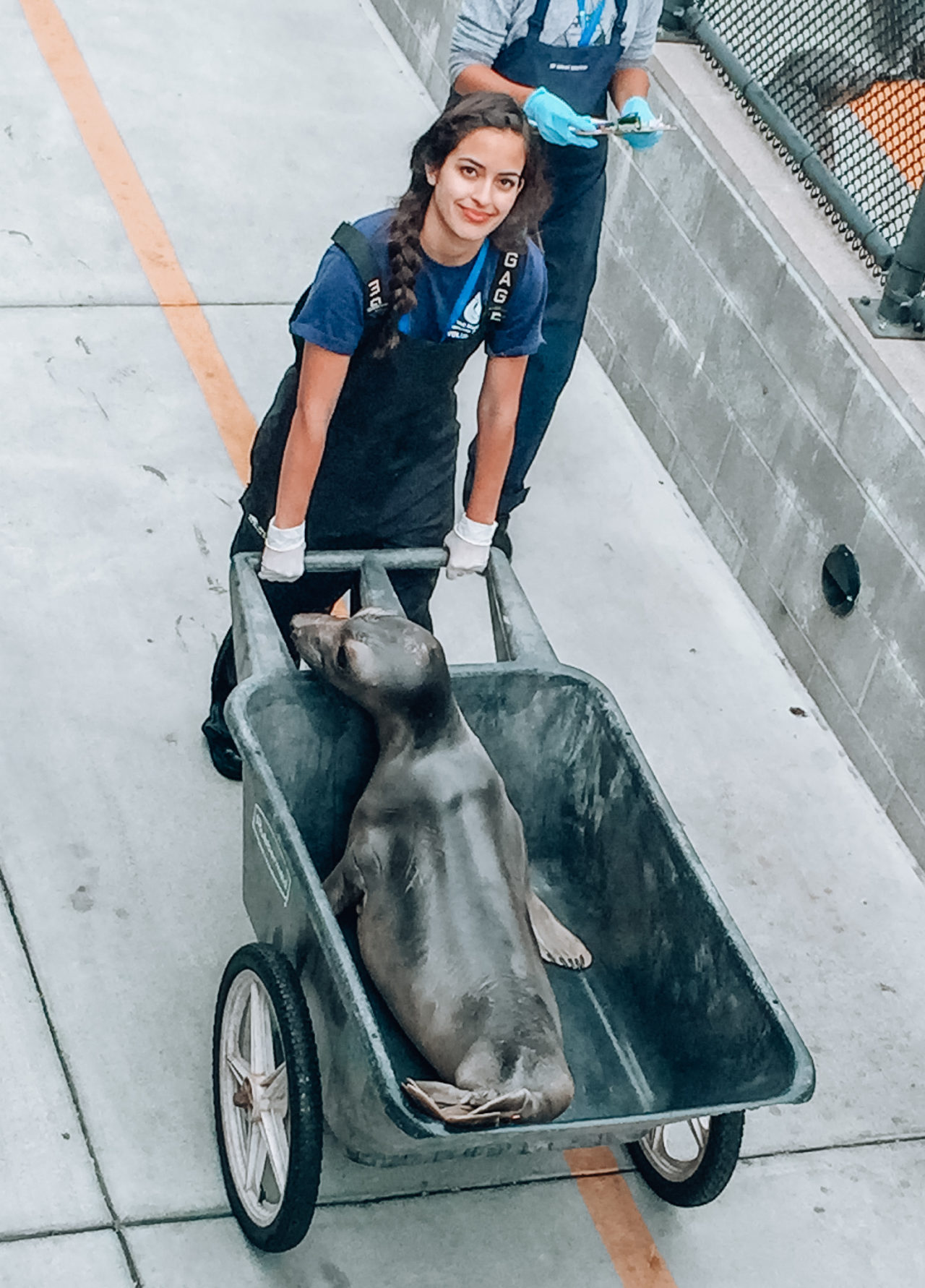 Photo Gallery - Latinx Veterinary Medical Association