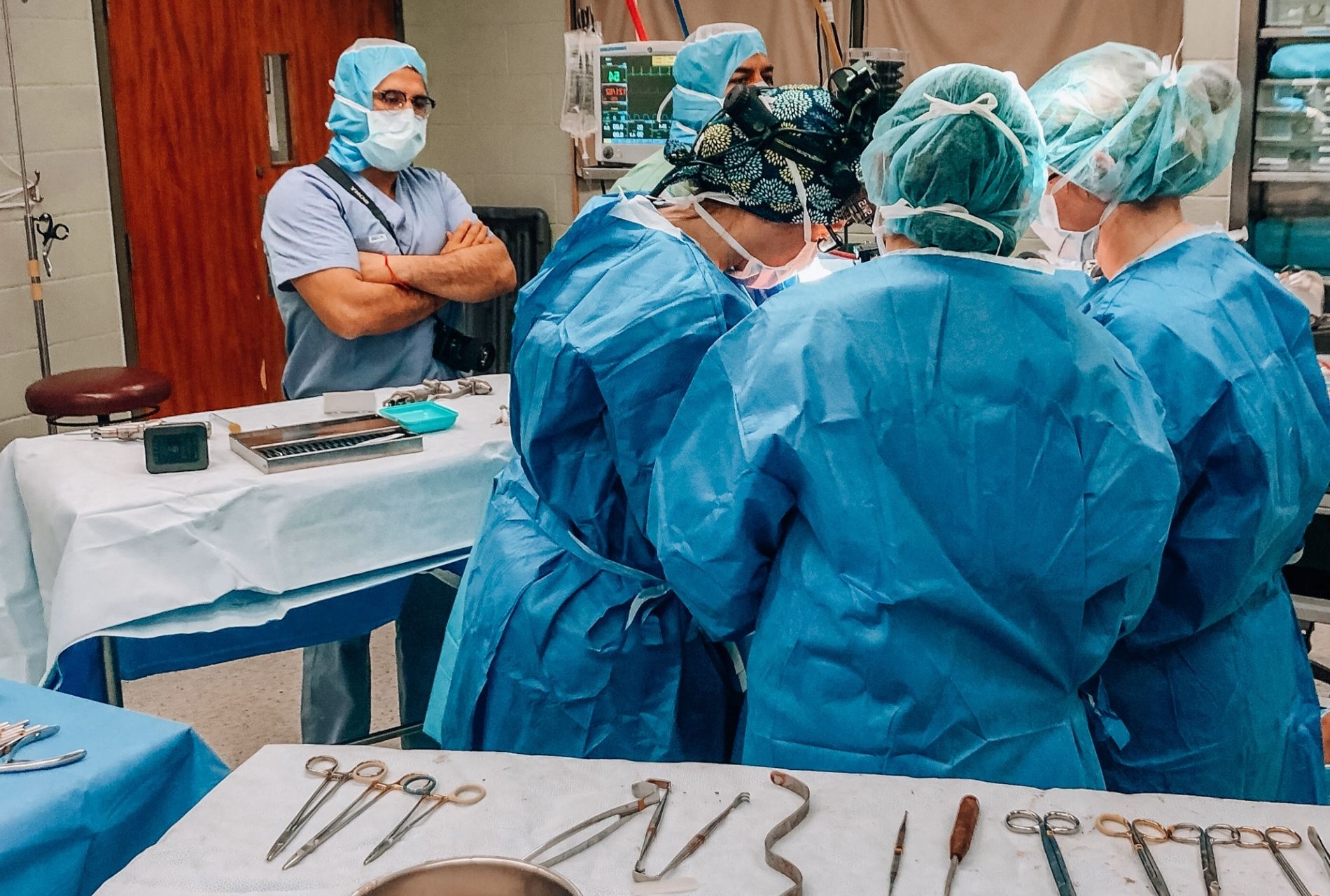 Contact Latinx Veterinary Medical Association - Latinx Vet Community